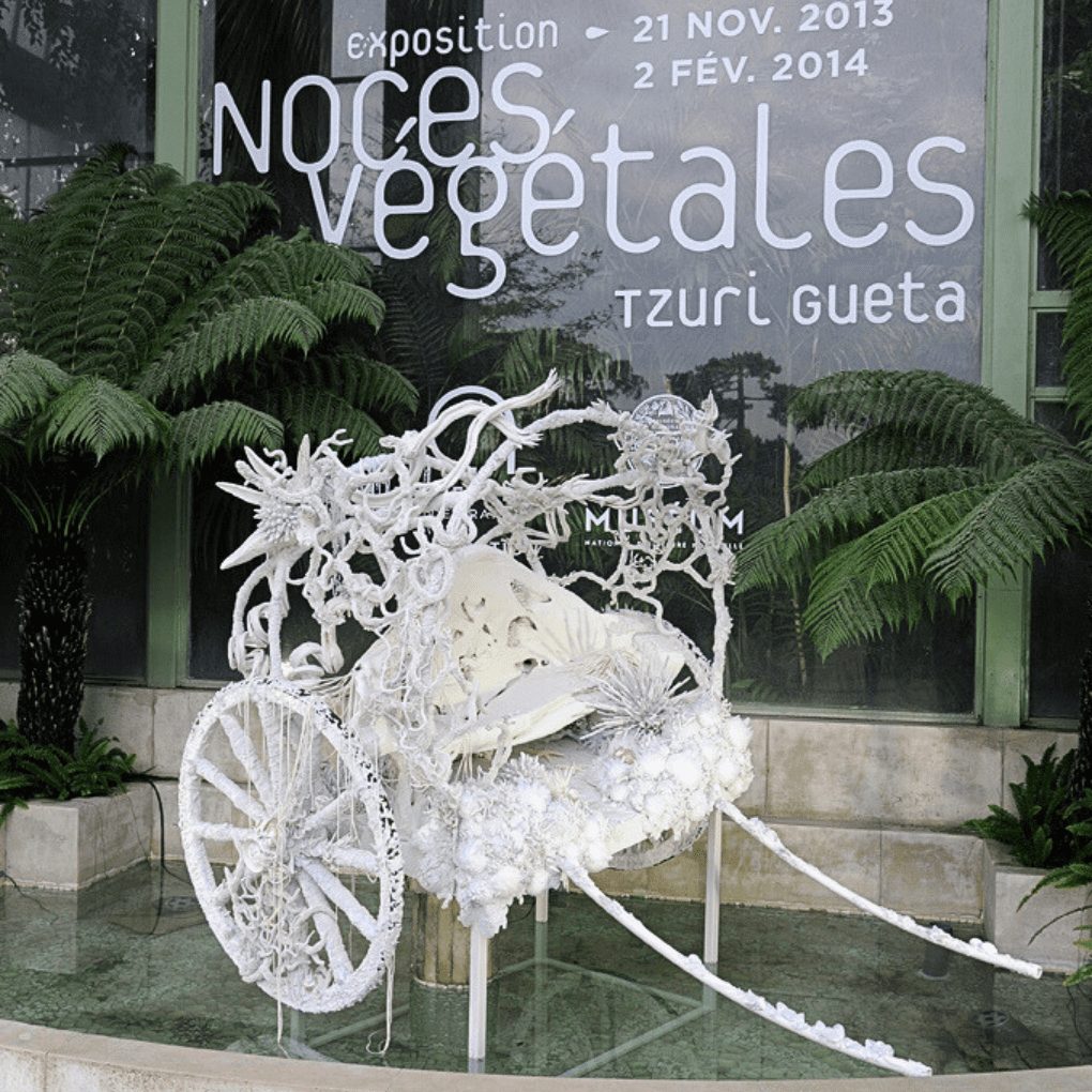 Vestige - Tzuri Gueta